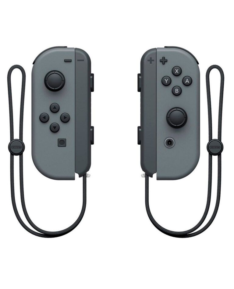 CONTROLES JOY CON L R GRIS – Gameplanet